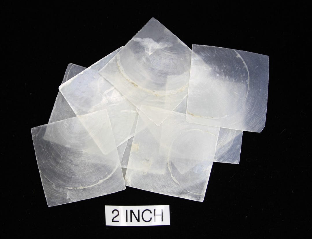 2" SQUARE CAPIZ Shells, Translucent Seashells, Sailors Valentine, Beach ...