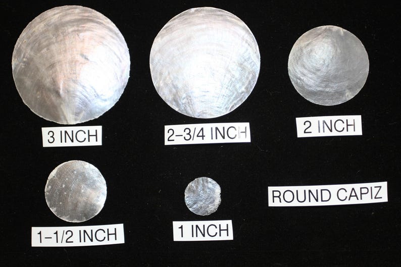 CUT SEASHELLS, 1" Capiz Disc, Beach Decor, Sailor Valentines, Wedding ...