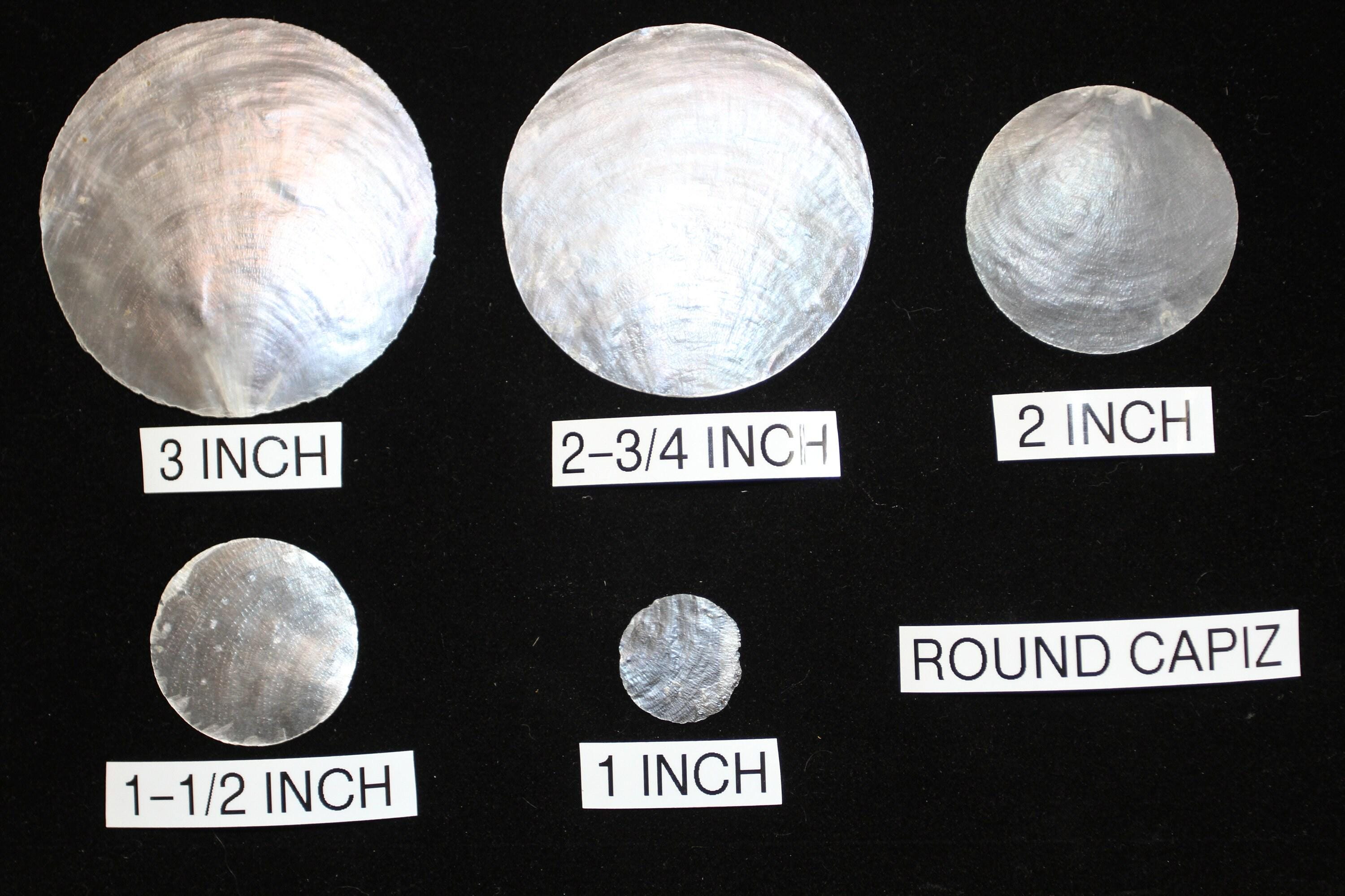 CUT SEASHELLS, 1" Capiz Disc, Beach Decor, Sailor Valentines, Wedding ...