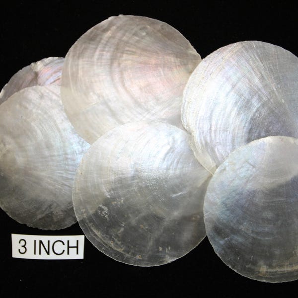 3 Inch Capiz Shells - Etsy