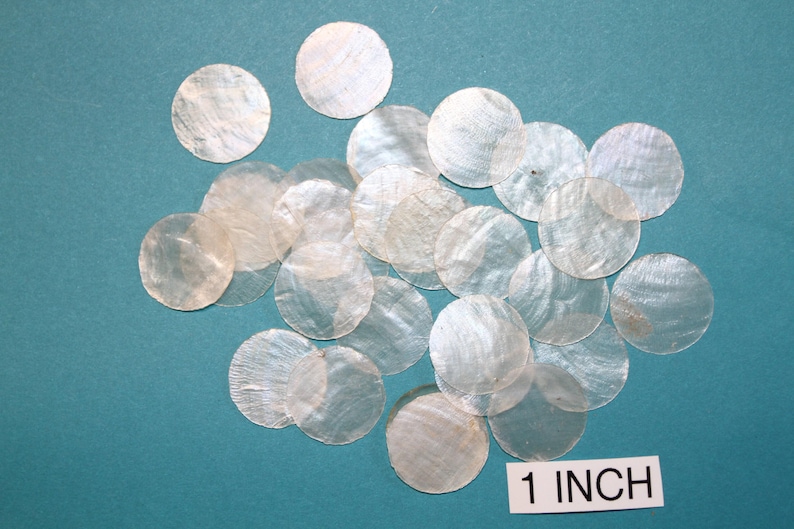 50-CUT Seashells,1" Capiz Disc, Beach Decor, Sailor Valentine, Wedding ...