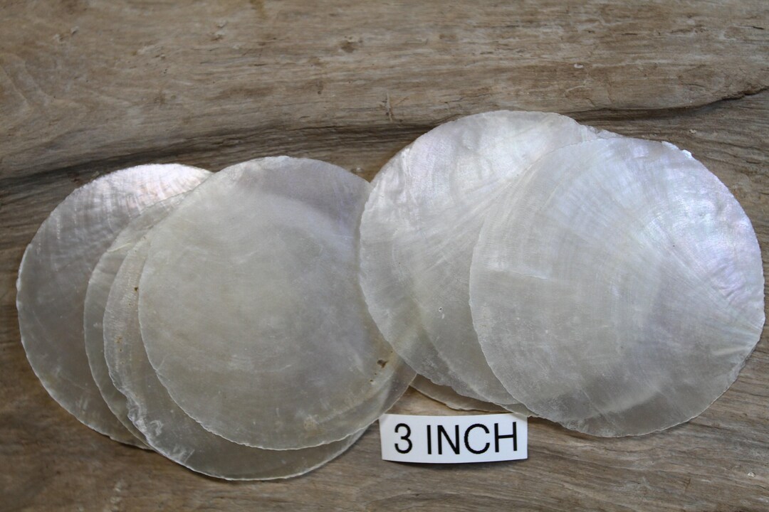 SLICED SEASHELLS, Capiz Cut Shell, 3 Inch, Craft Supply, Christmas ...