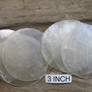 SLICED SEASHELLS, Capiz Cut Shell, 3 Inch, Craft Supply, Christmas ...