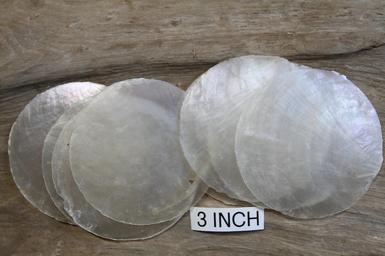 SLICED SEASHELLS, Capiz Cut Shell, 3 Inch, Craft Supply, Christmas ...