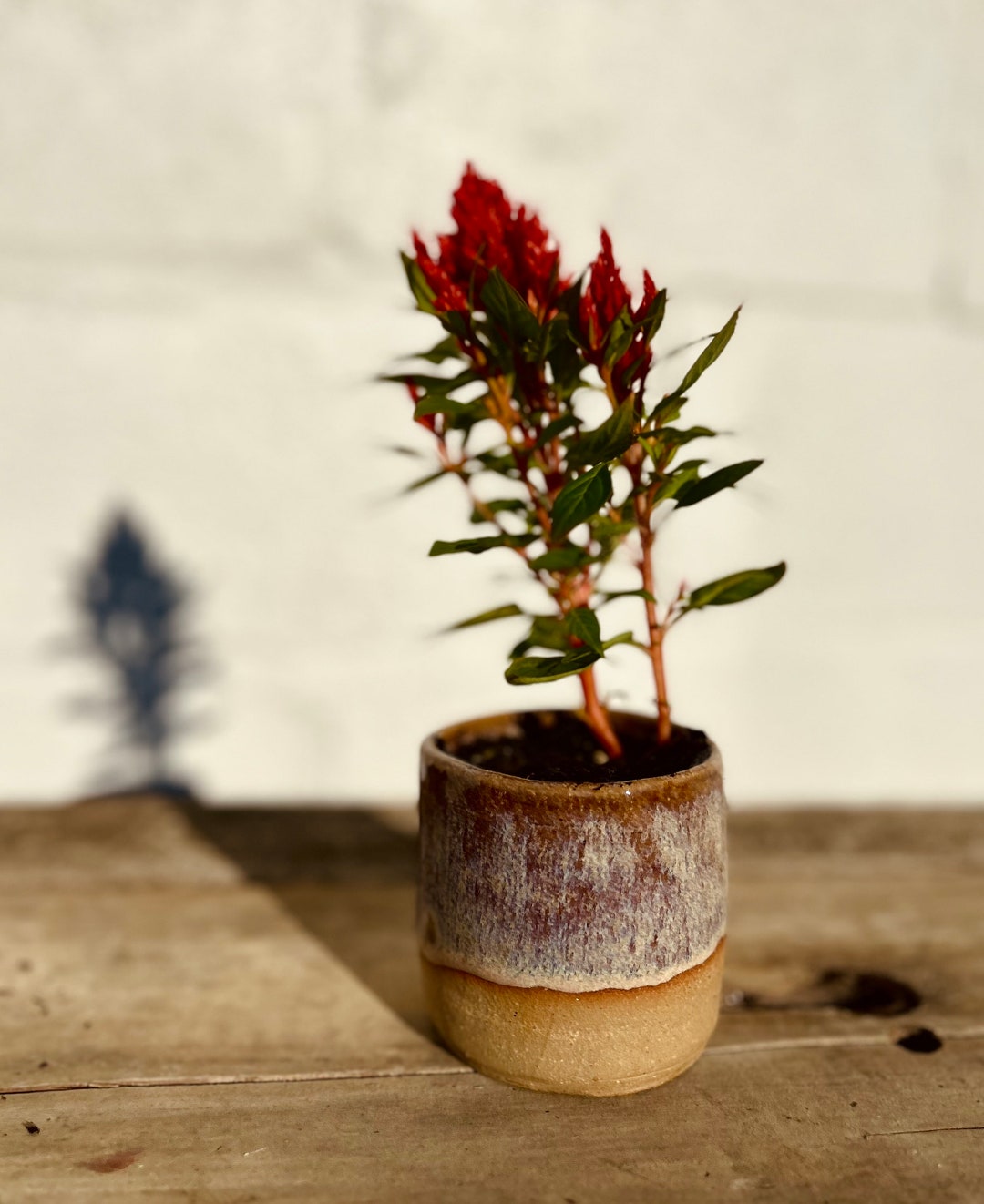 Handmade Pottery Tiny Flower Pot Cute Little Pot - Etsy