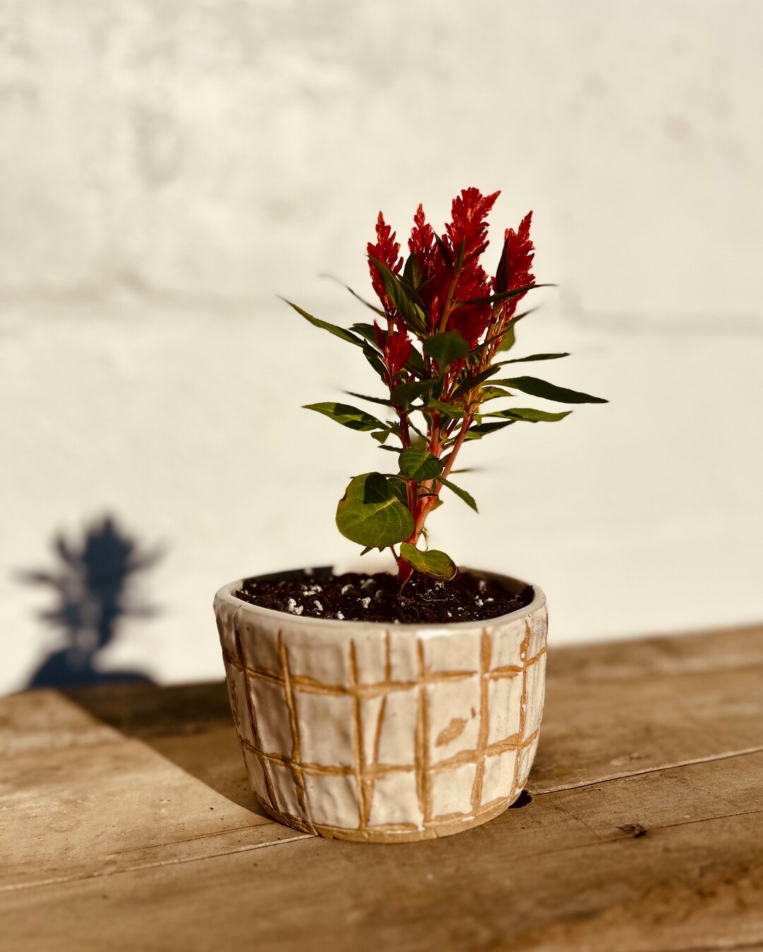 Handmade Pottery Small Flower Pot Cute Little Pot - Etsy