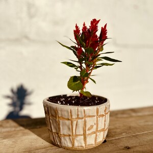 Handmade Pottery Small Flower Pot Cute Little Pot - Etsy