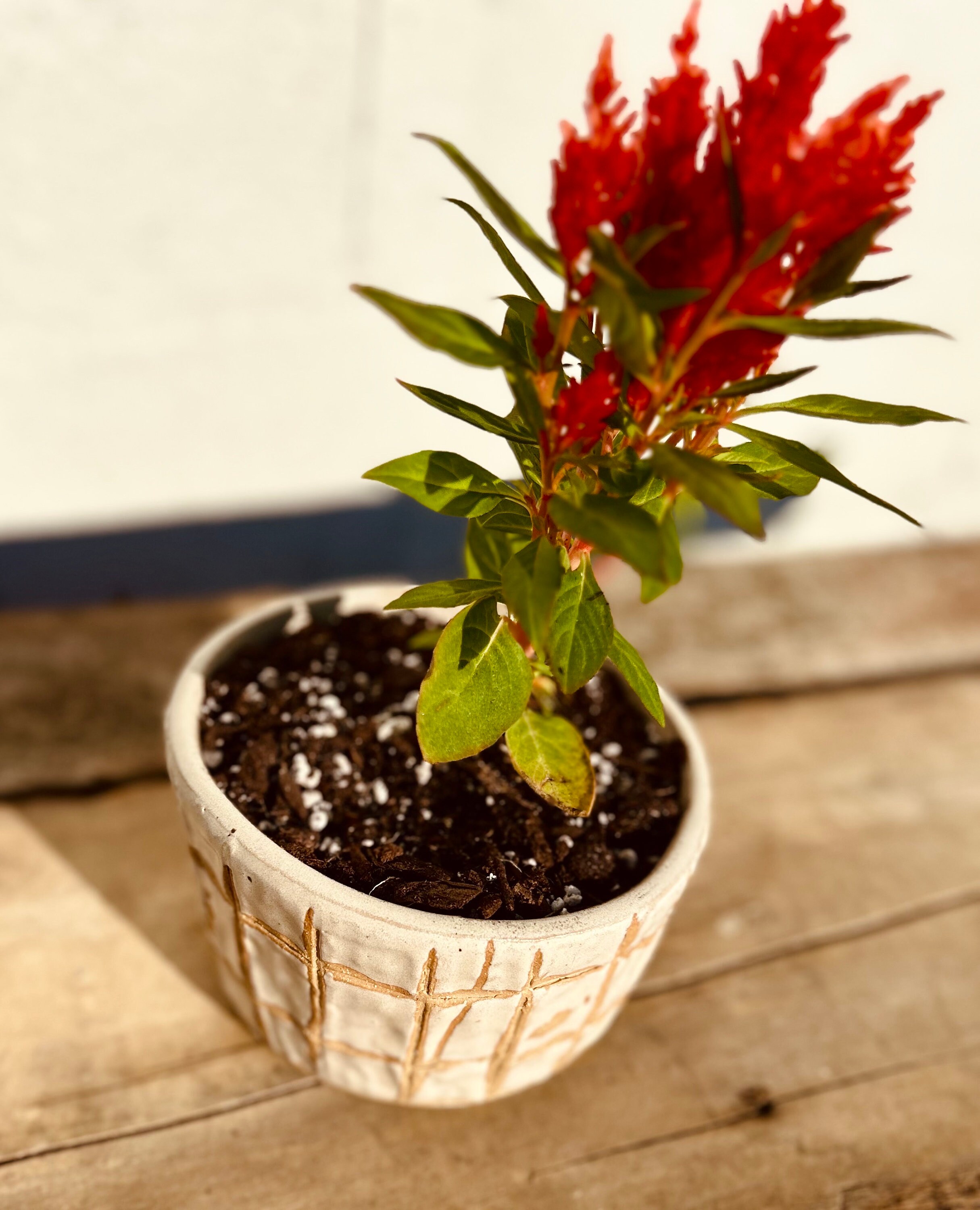 Handmade Pottery Small Flower Pot Cute Little Pot - Etsy