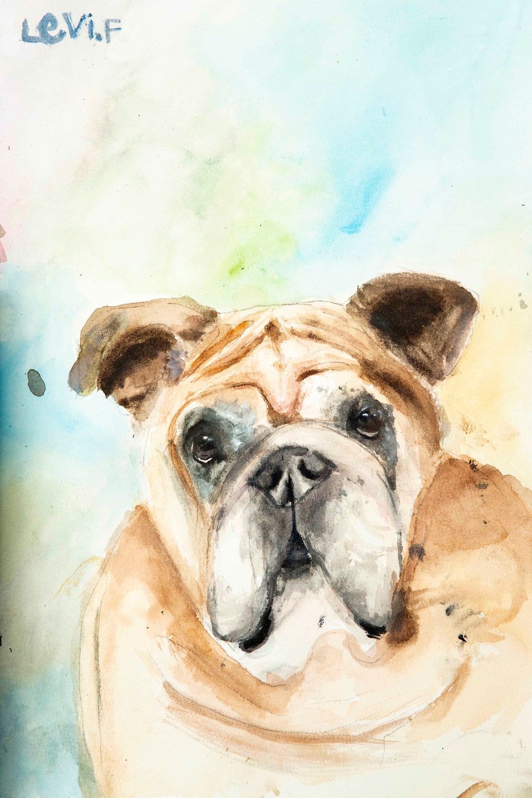 Bulldog Watercolor Painting, Dog Painting, American Bulldog, Wall Art ...