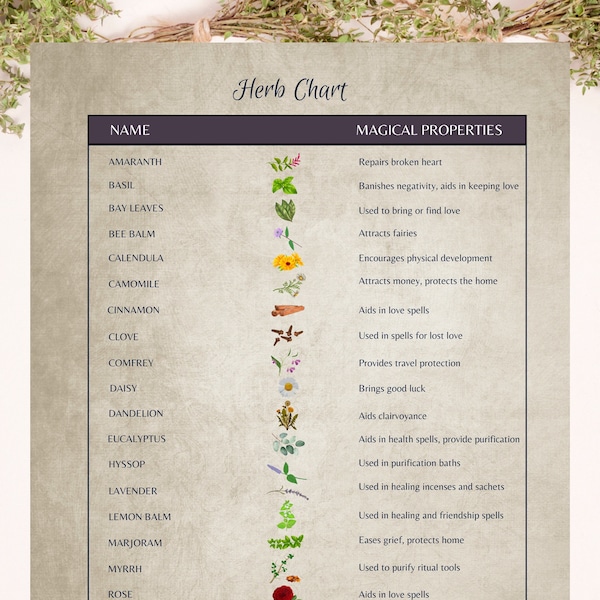 Magical Herbs - Etsy