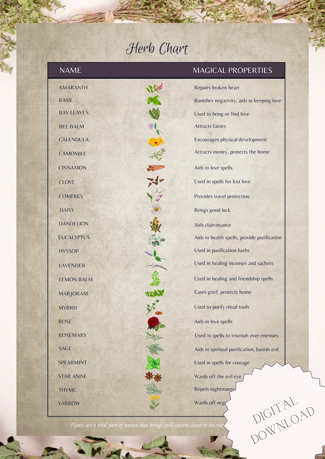 Witch Herbs' List With Properties Bundle, Illustrated Herb Chart, Pages ...
