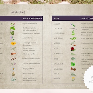 Witch Herbs' List With Properties Bundle, Illustrated Herb Chart, Pages ...