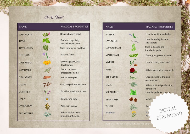 Witch Herbs' List With Properties Bundle, Illustrated Herb Chart, Pages ...