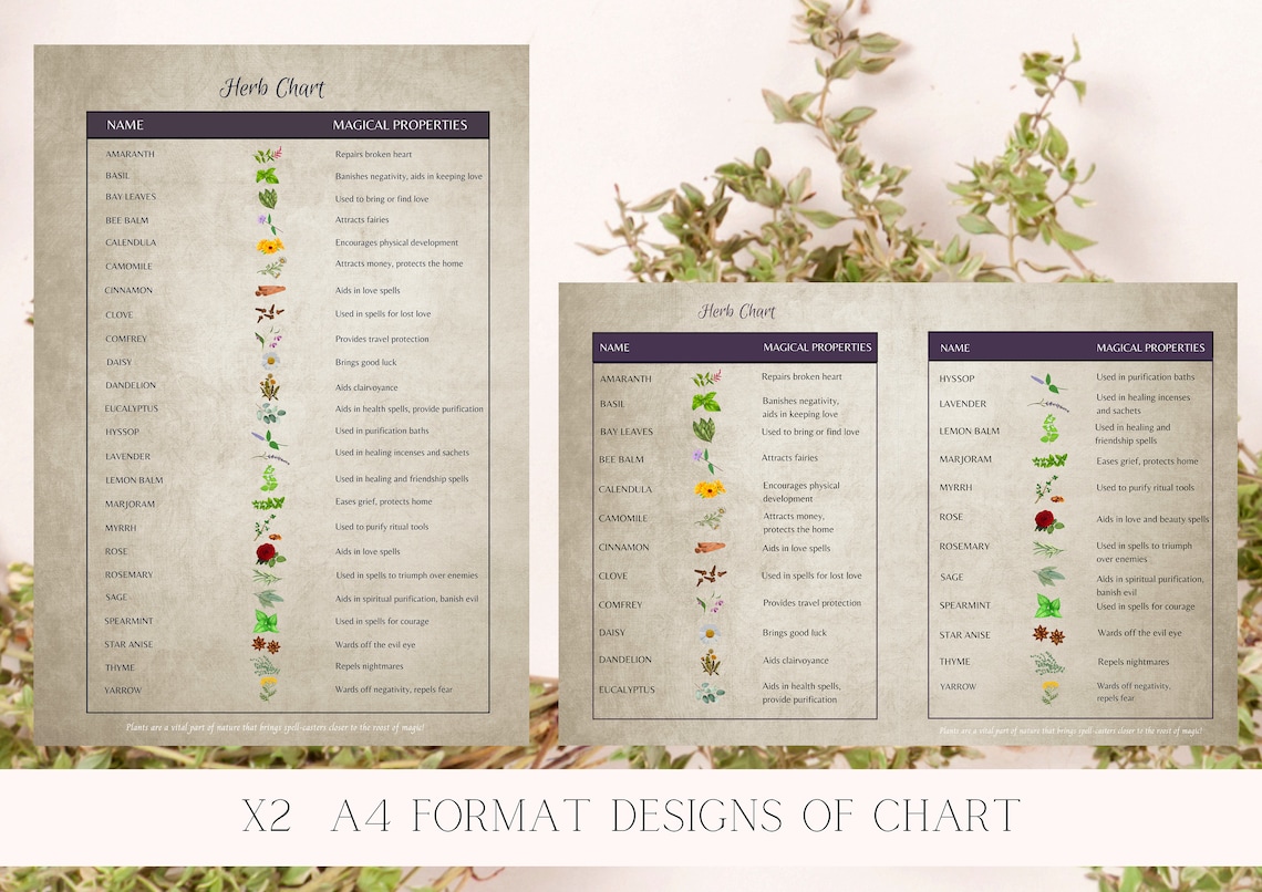 Witch Herbs' List With Properties Bundle, Illustrated Herb Chart, Pages ...