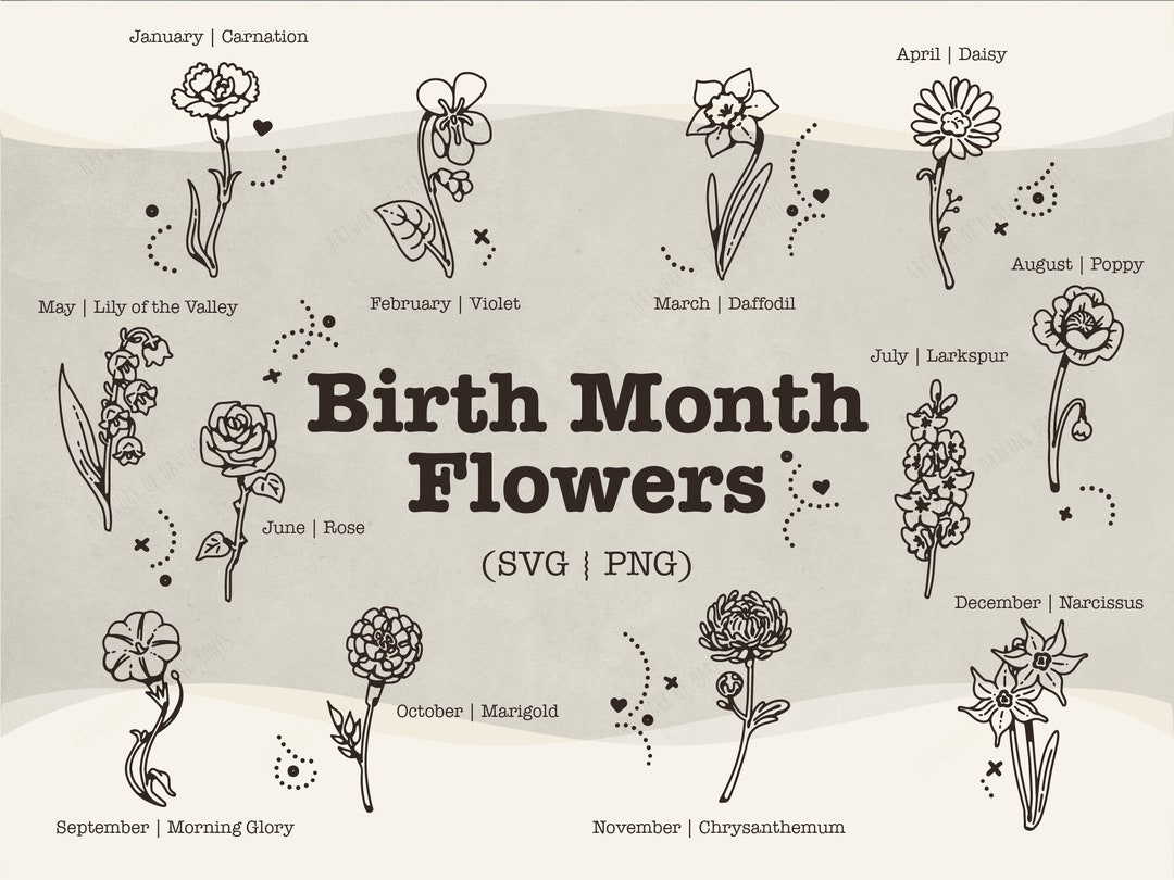 Birth Month Flowers SVG Bundle: Floral Vector Graphics (PNG, SVG) - Etsy