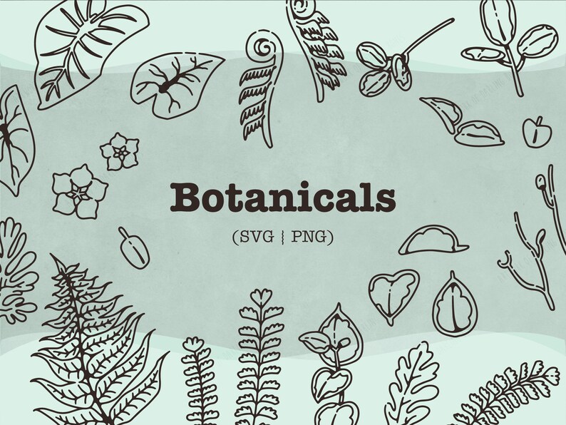 Botanicals Svg Bundle || Plant Svg || Flower Svg || Green House Svg ...