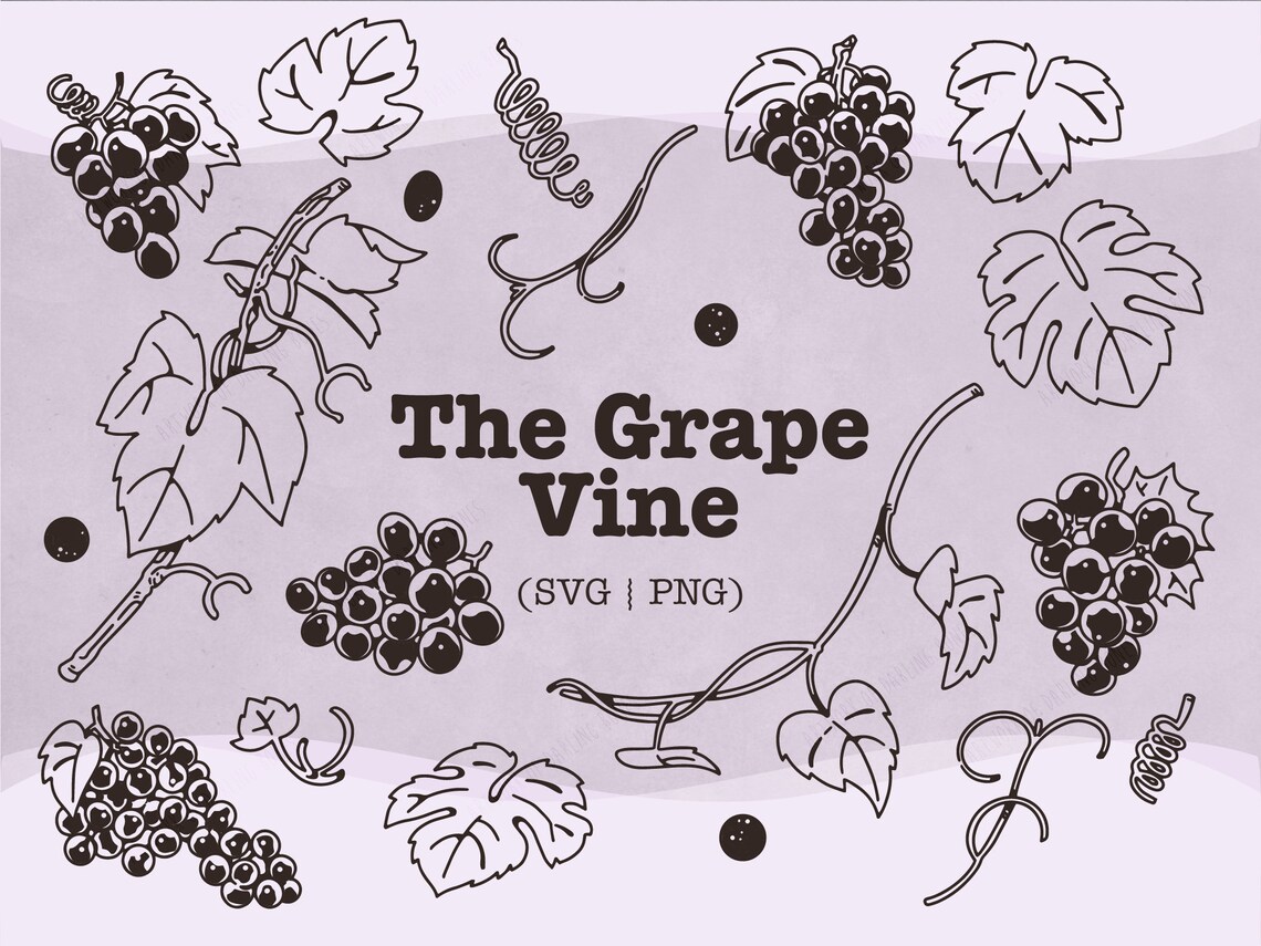 Grape Svg Bundle || Vine Svg || Wine Svg || Fruit Svg || Summertime Svg ...