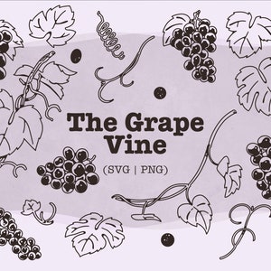 Grape Svg Bundle || Vine Svg || Wine Svg || Fruit Svg || Summertime Svg - Etsy