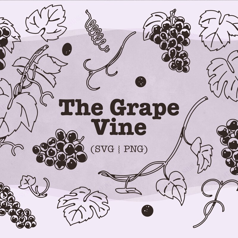 Grape Vines Png - Etsy