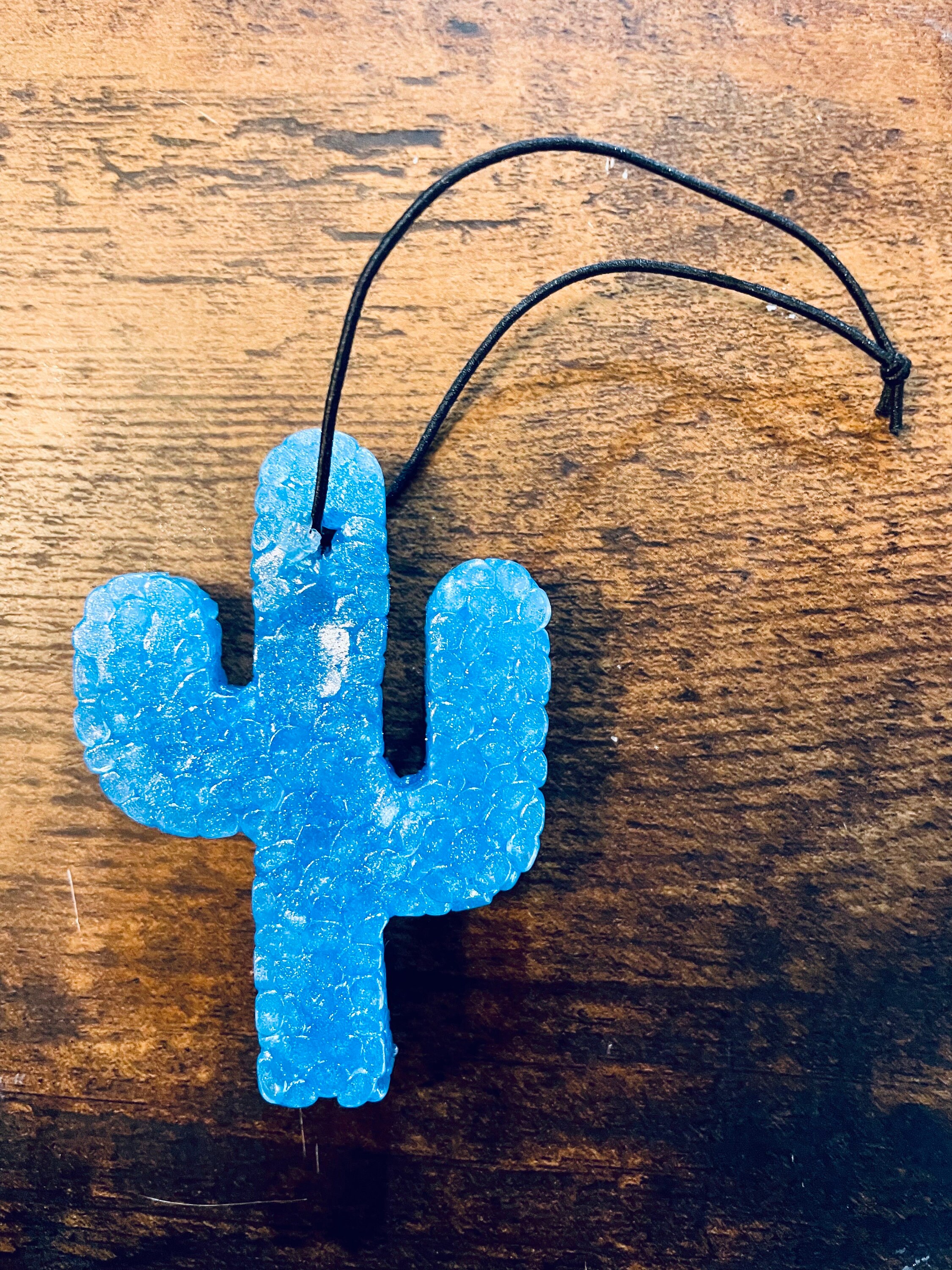 Cactus Car Freshie Cactus Car Freshy New Car Texas - Etsy