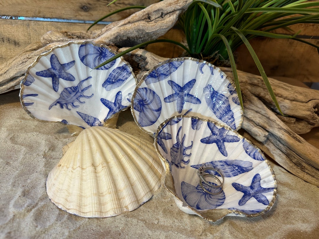 Scallop Shell, Blue and White Shells, Ring Dish, Decorative Shells ...