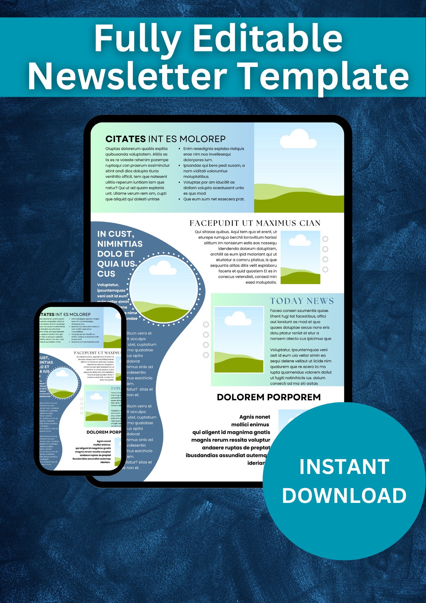 Editable Newsletter Template, Professional Newsletter Print, Canva ...