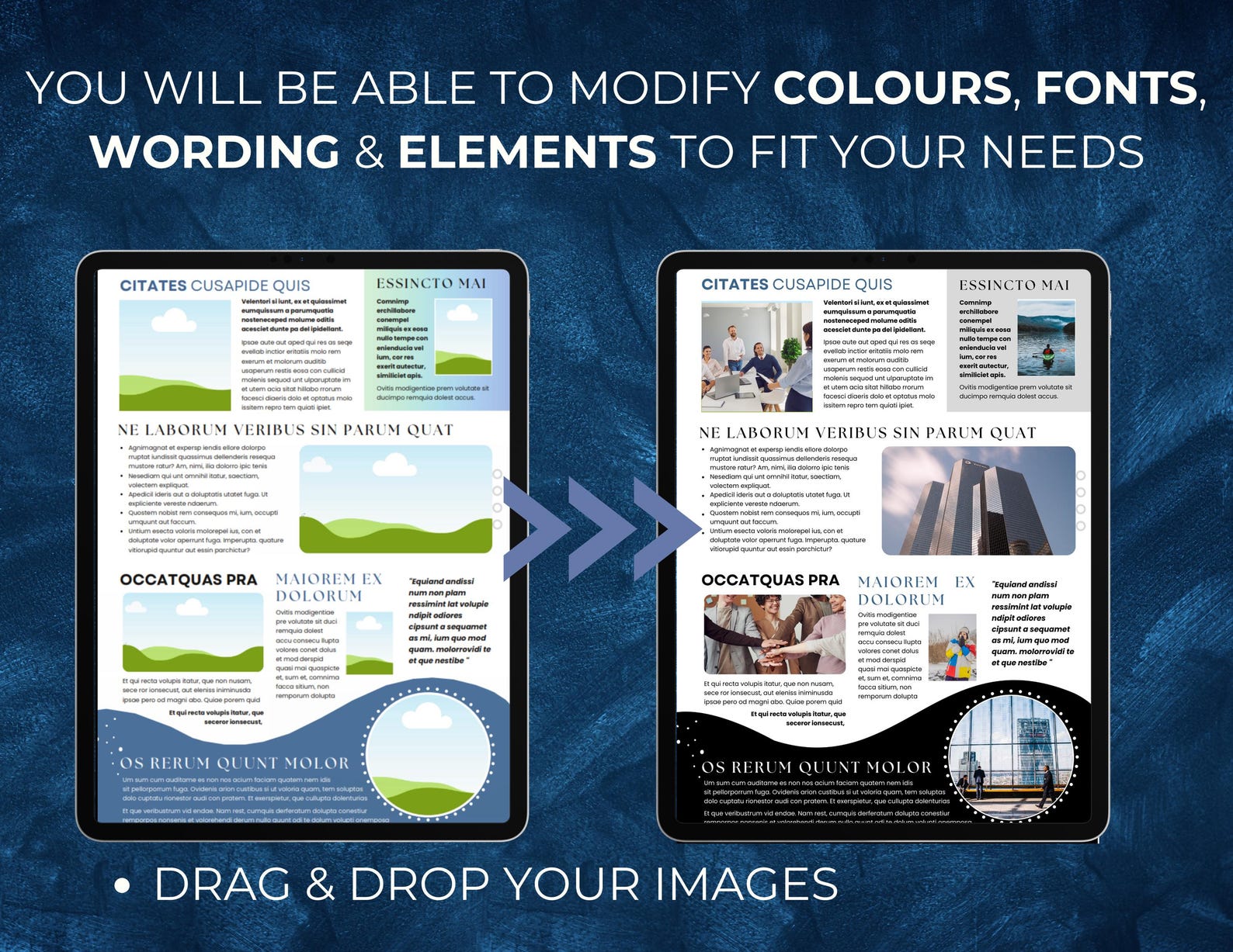 Editable Newsletter Template, Professional Newsletter Print, Canva ...