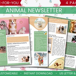 Animal Shelter Newsletter Template: Editable Canva Design (A4 & US ...