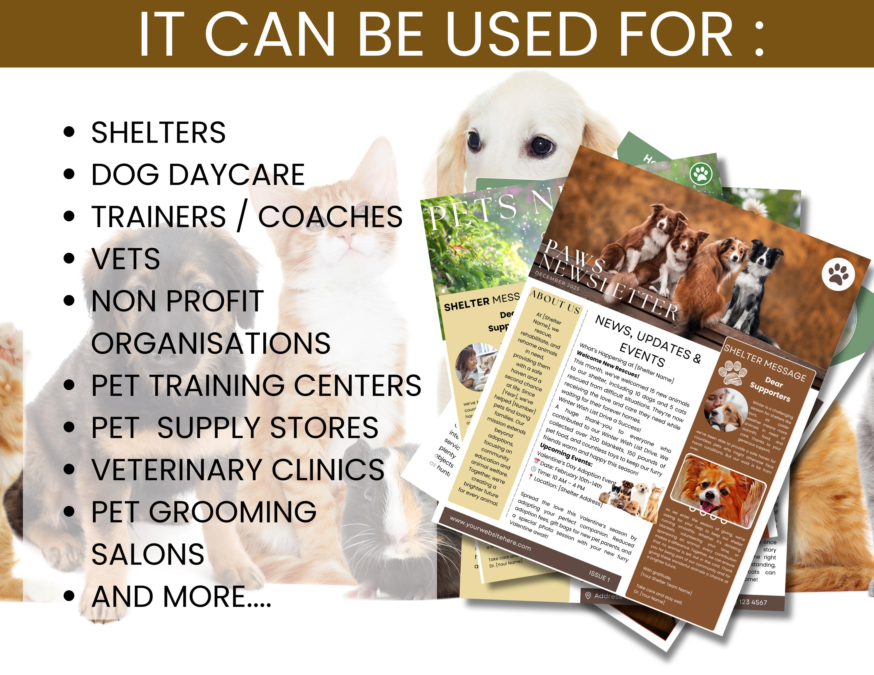 Editable Pet Newsletter Template: Animal Shelter, Rescue (canva, 4 ...