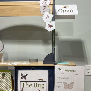 Dramatic Play Bug Shop I Creative Play Homeschool I Little Entomologist ...