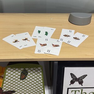 Dramatic Play Bug Shop I Creative Play Homeschool I Little Entomologist ...