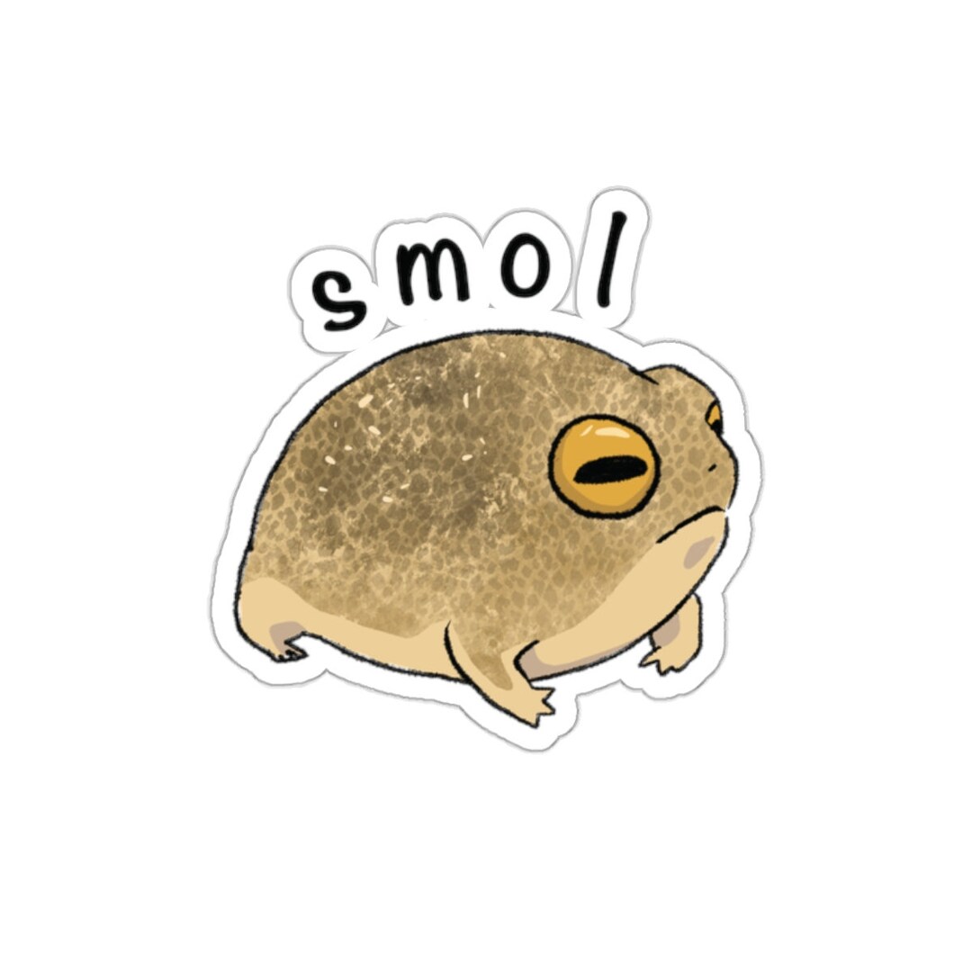 Cute Desert Rain Frog Sticker, Funny Animal Meme Sticker, Water-bottle ...