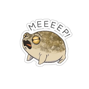 Cute Desert Rain Frog Sticker, Funny Animal Meme Sticker, Water-bottle ...