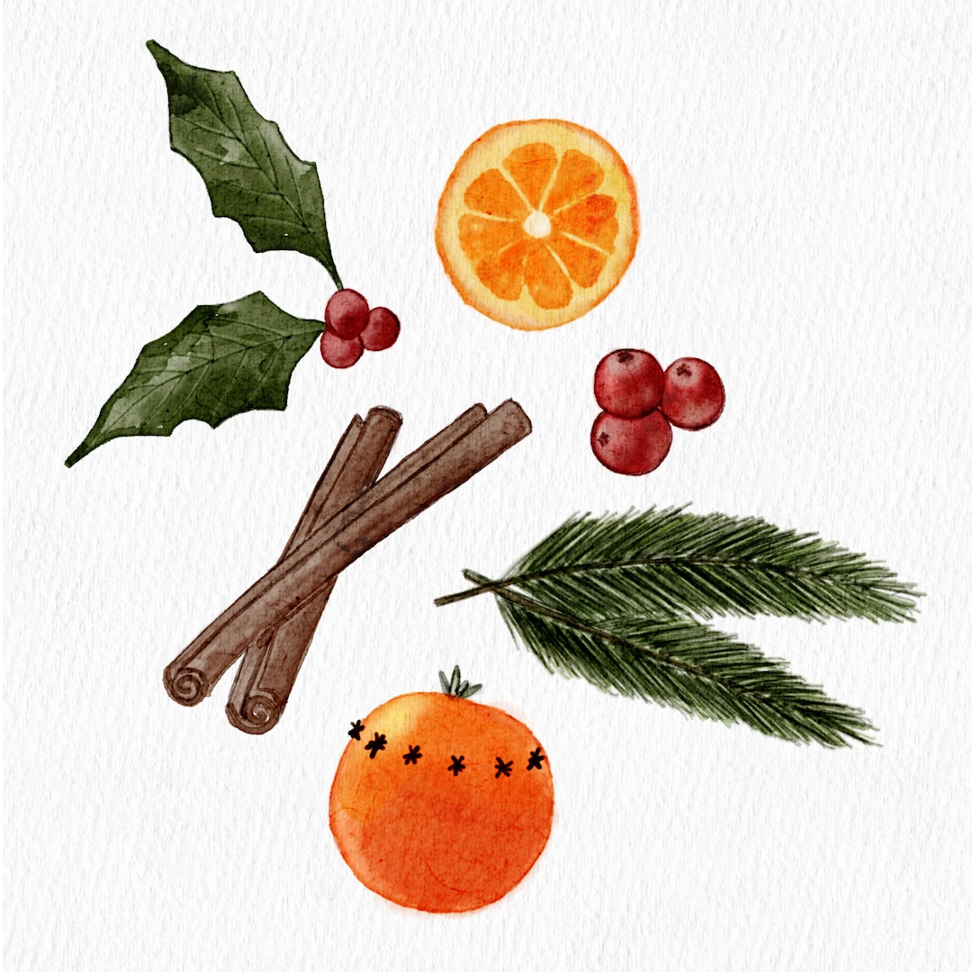Christmas Simmer Pot - Digital Hand-drawn Illustration - Etsy