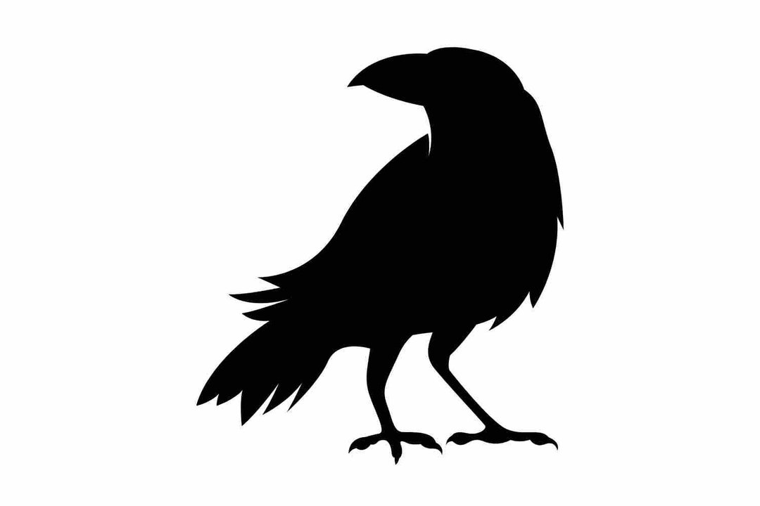 Black Raven Crow Silhouette Design SVG PNG Bundle Cricut Stickers ...