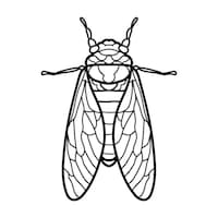 Cicada Outline Design SVG PNG Bundle Multiple File Formats Cricut T ...