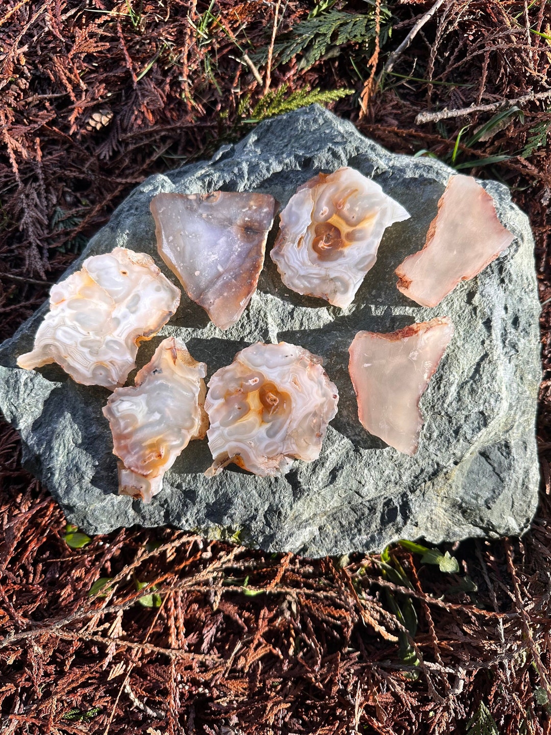 7 Piece Rock Slab Lot - Eastern Oregon Agates Tumbling Rock, Cabbing ...