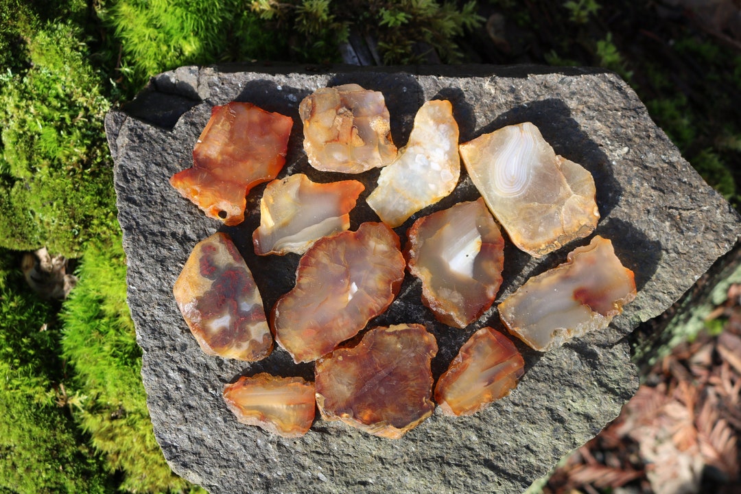 12 Piece Rock Slab Lot Washington Carnelian Banded Agates Tumbling Rock ...