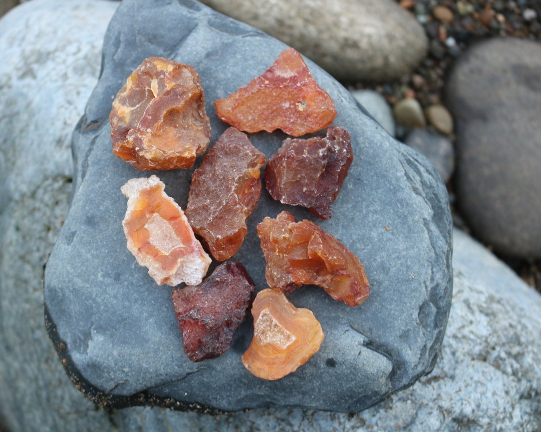 8 Small Washington Carnelian Agate River Sampler With Botryoidals and ...