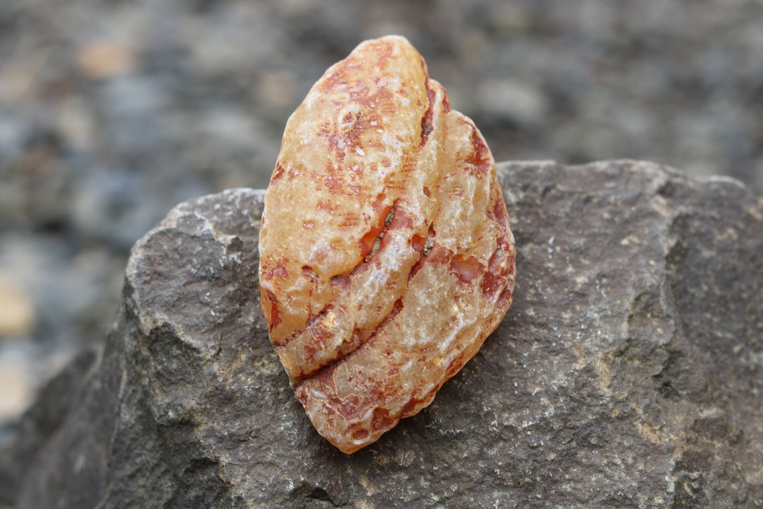 82 G Small Washington Yellow Carnelian Agate Nodule - Home Decor Gift ...