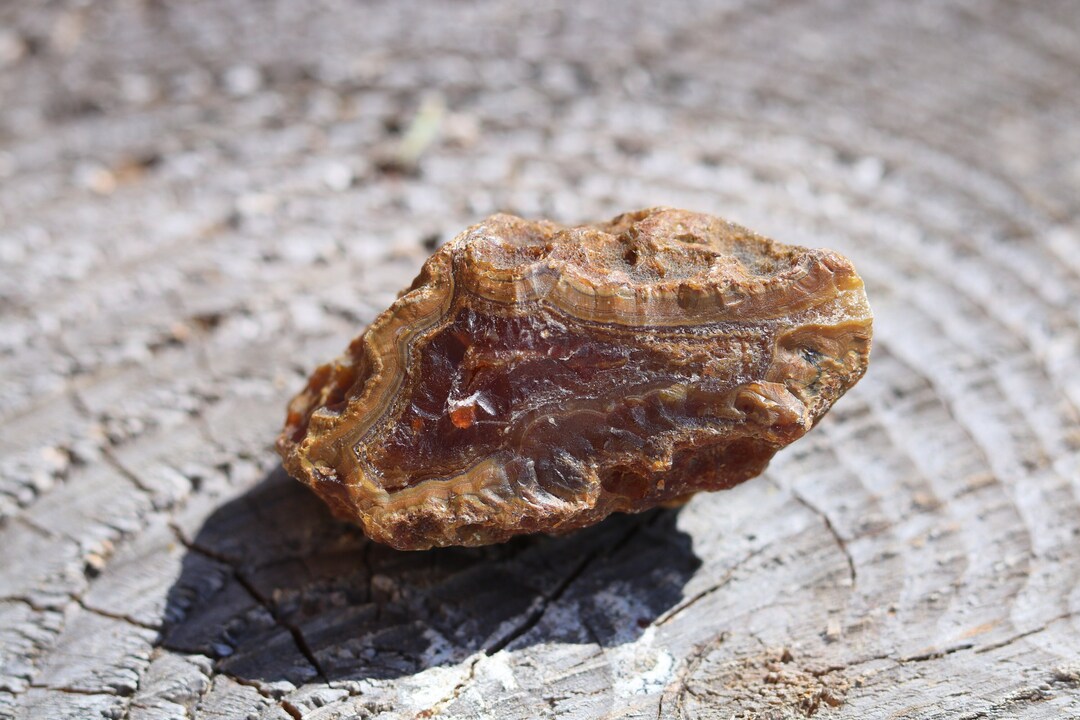 97 G Small Red Banded Buckskin Washington Carnelian Agate - Home Decor ...