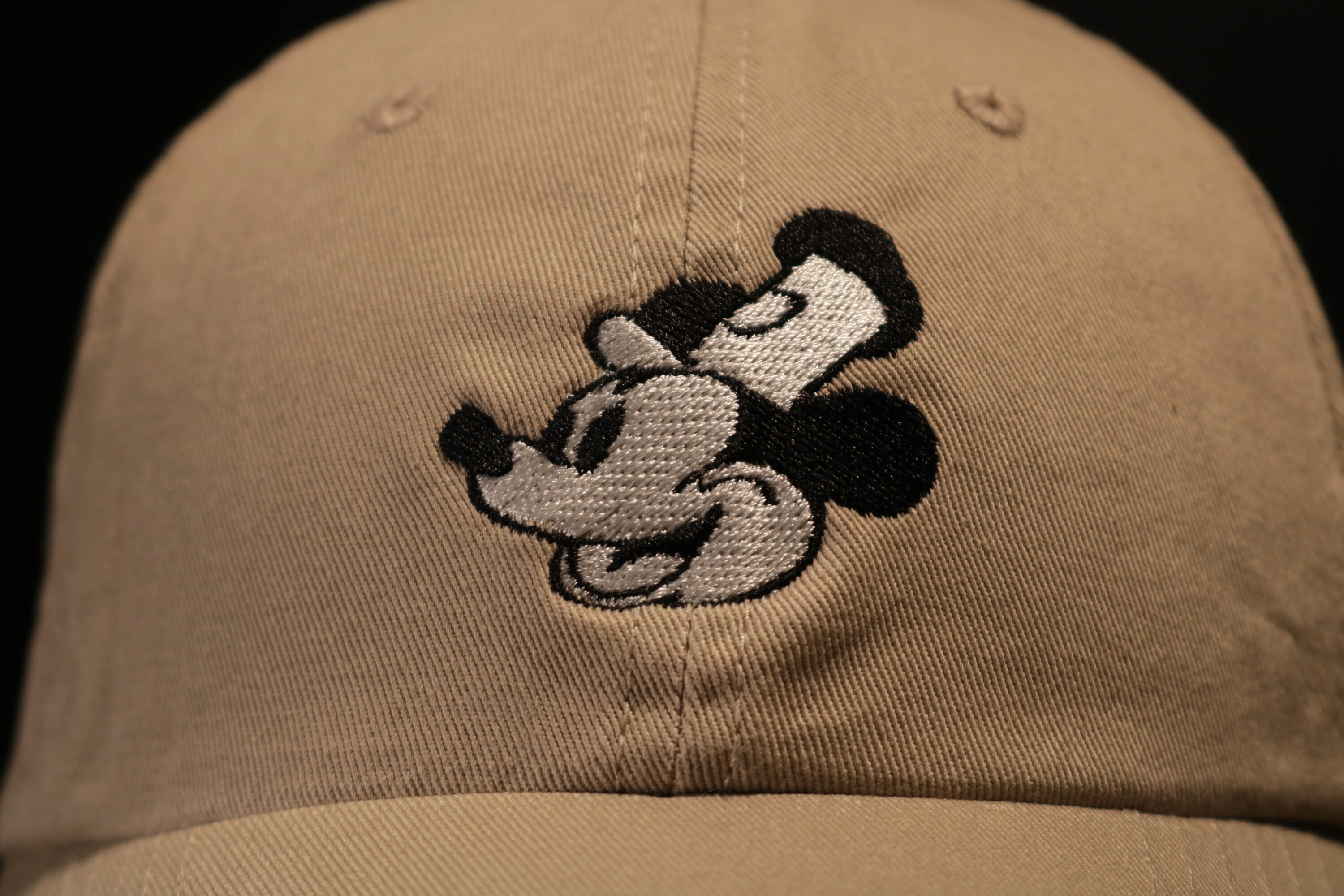 Steam Boat Willy Face Hat Cartoon Embroidered Dad Hat - Etsy