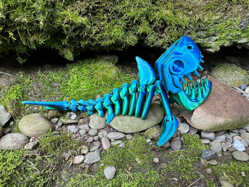 Articulated Skeleton Shark - Etsy