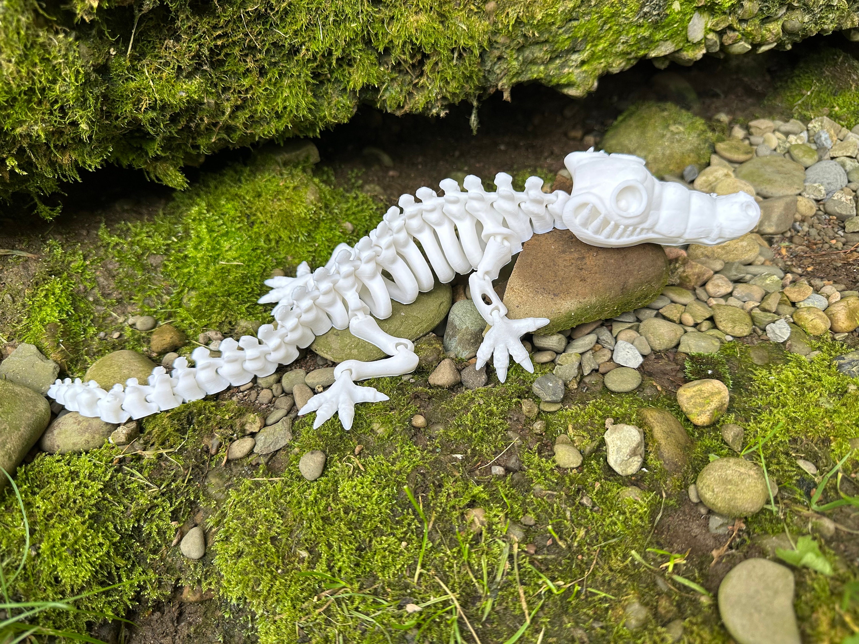Articulated Skeleton Alligator - Etsy