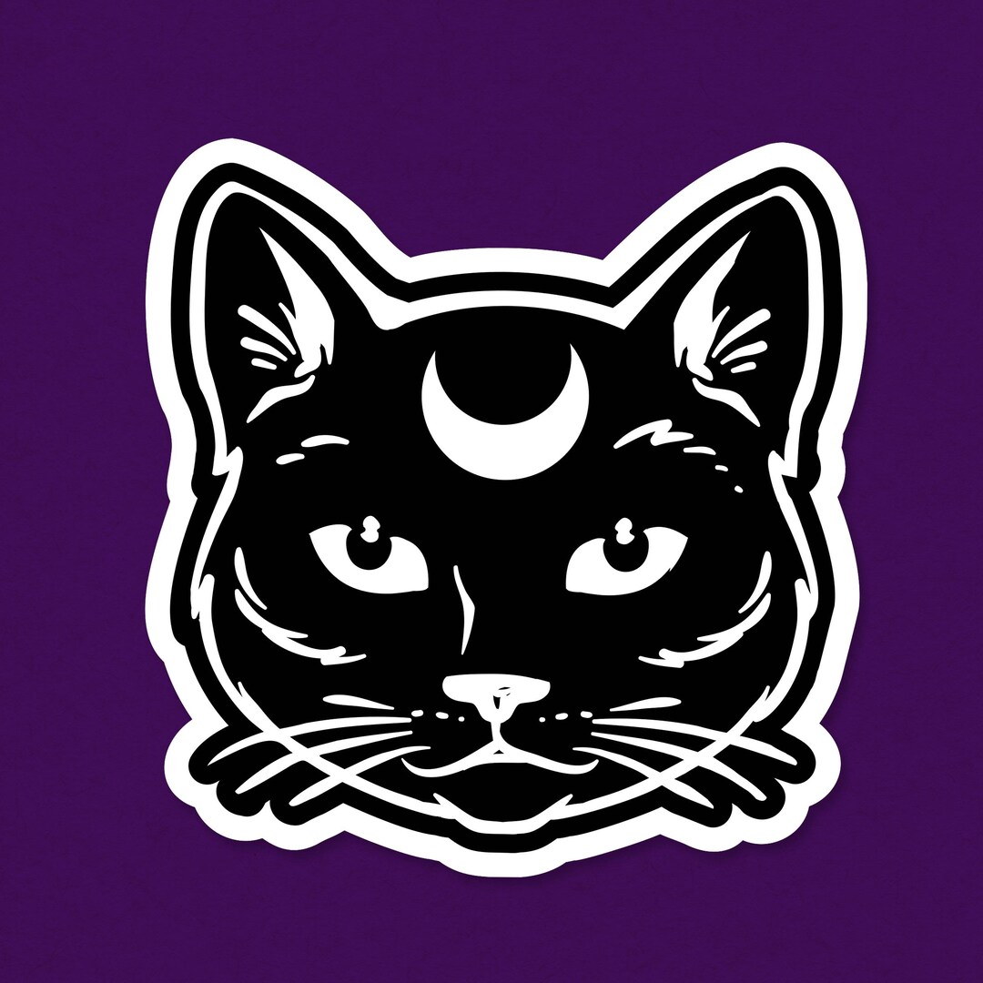 Black Cat Moon Vinyl Sticker, Mystical Cat Lover Gift - Etsy