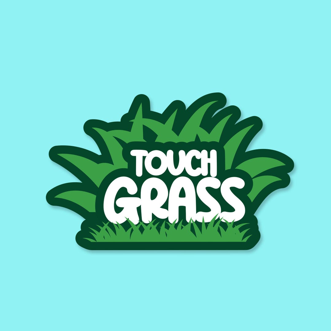 Touch Grass Sticker, Sticker for Water Bottle, Funny Sticker, Friend ...
