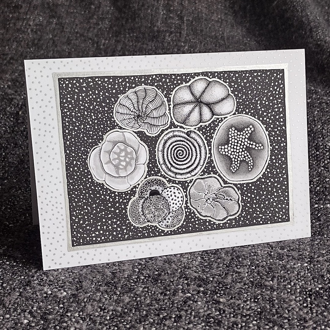 Foraminifera Illustration Greetings Card: Micropalaeontology Science ...