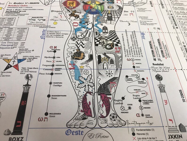 Occult Anatomy Poster – HD Print 90x65cm (standard Version). Registered ...