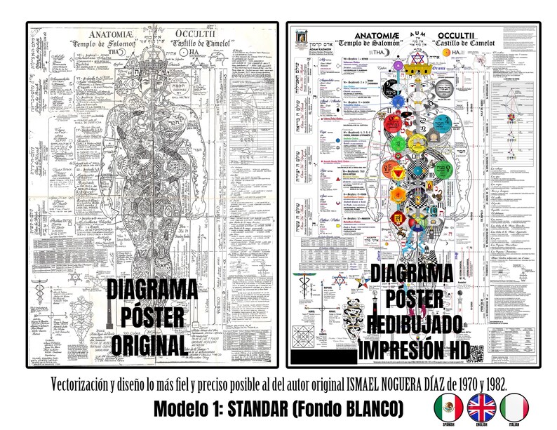 Occult Anatomy Poster – HD Print 90x65cm (standard Version). Registered ...