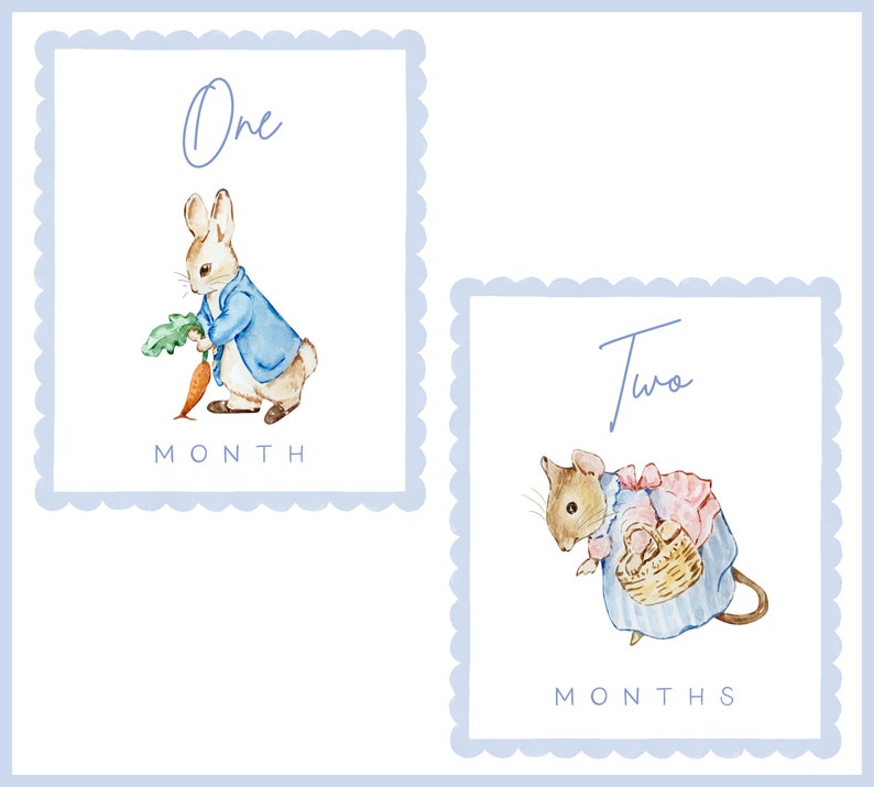 Printable Monthly Milestone Cards for Girls Boys, Watercolor ...